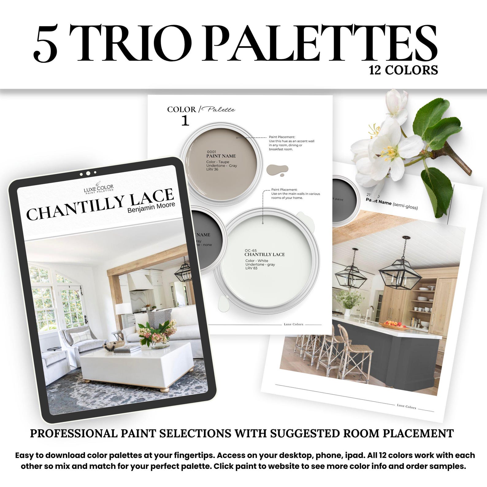 Benjamin Moore Chantilly Lace Color Palette: Whole House Interior ...