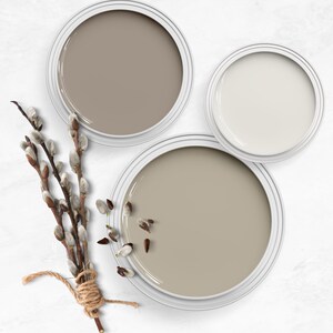 Benjamin Moore Pashmina Color Palette ~ Complementary Color Palette for ...