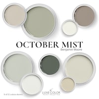 Lake Frost Color Palette - Curated Paint Colors for Your Home - Etsy