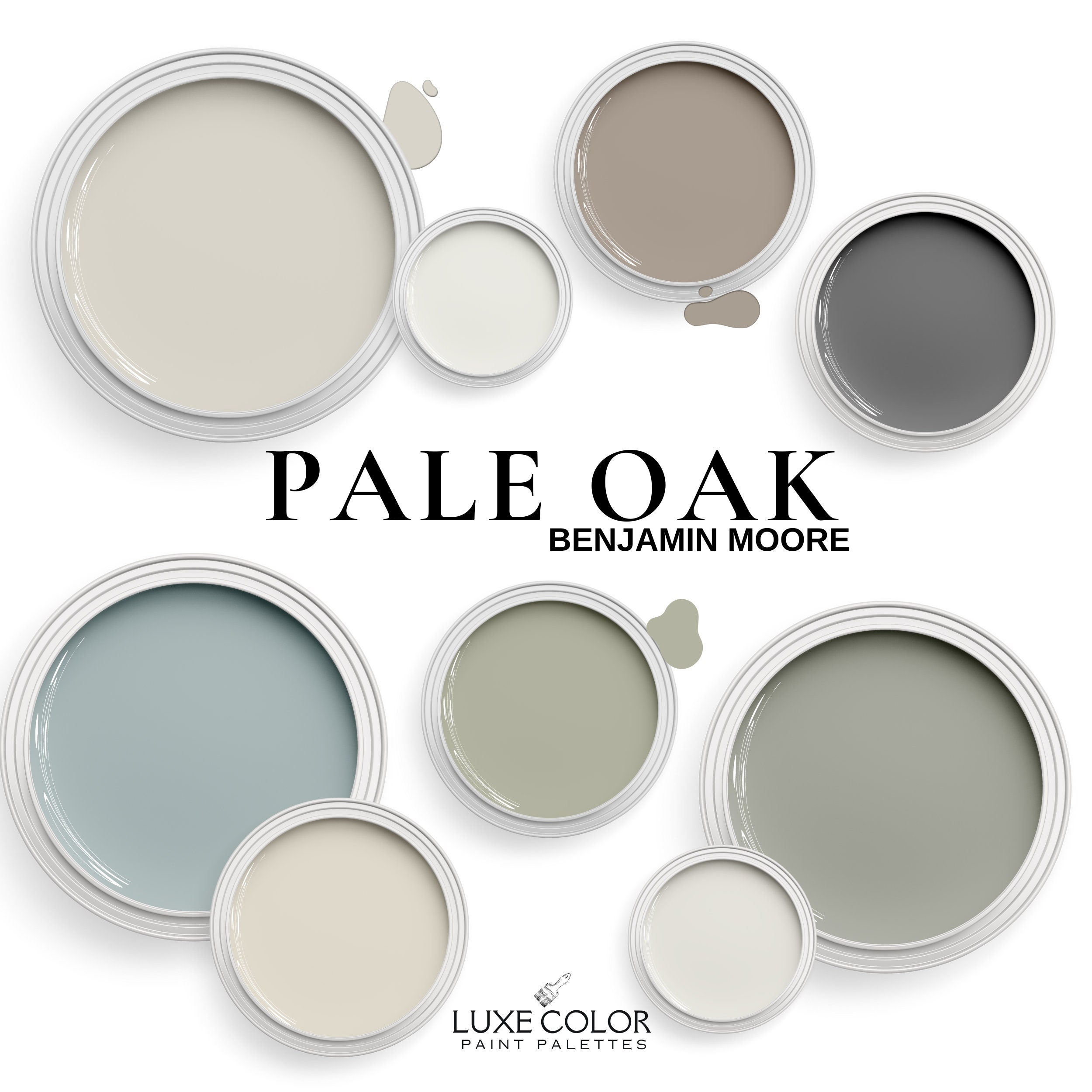 Pale oak color palette store