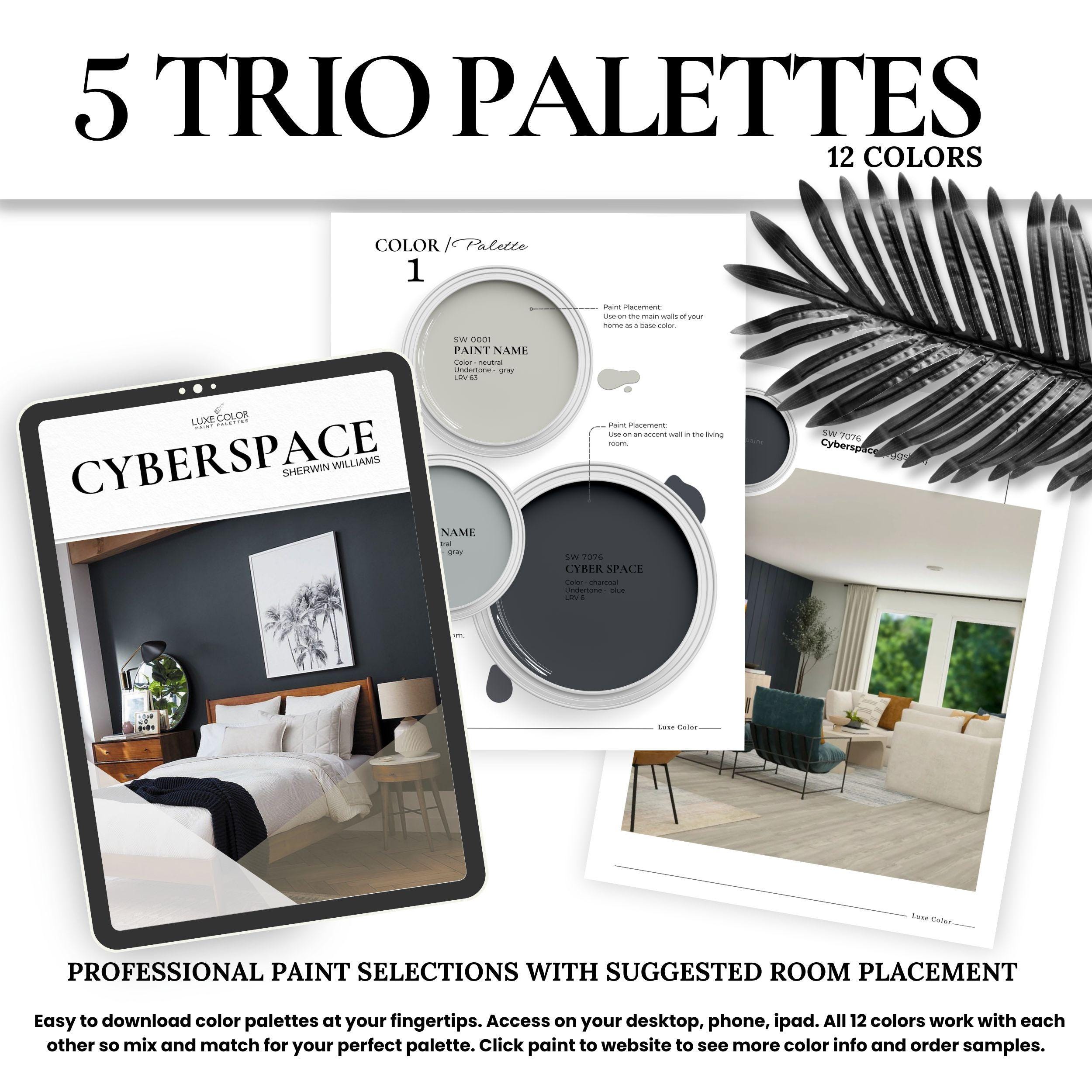 Sherwin Williams Cyberspace Color Palette. Coordination Colors for ...