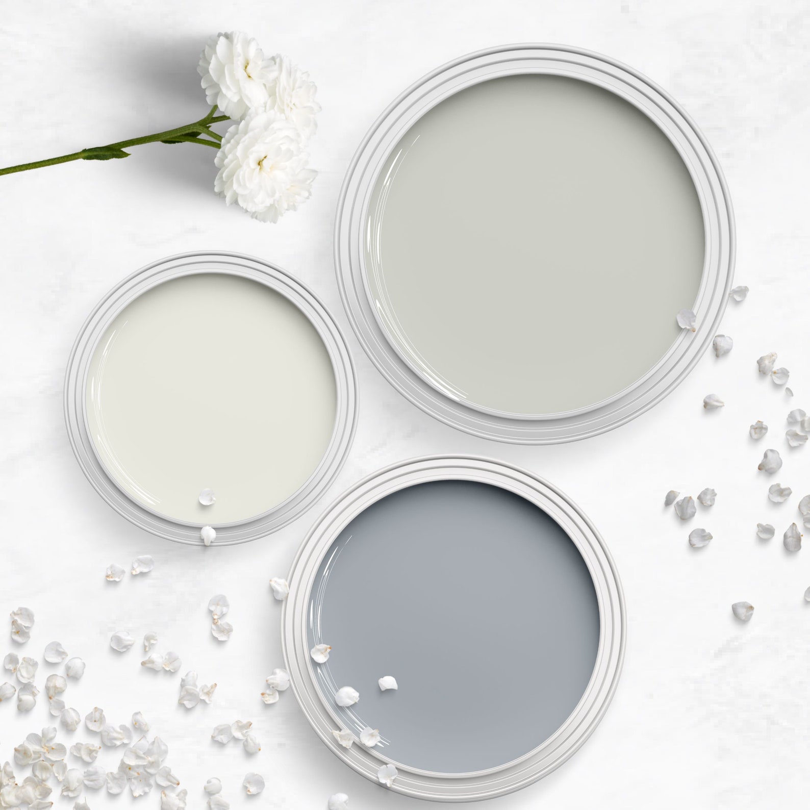 Benjamin Moore Gray Owl Color Palette. Colors for Living Room, Kitchen ...