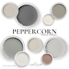 Peppercorn by Sherwin Williams Whole Home Color Palette - Interior ...