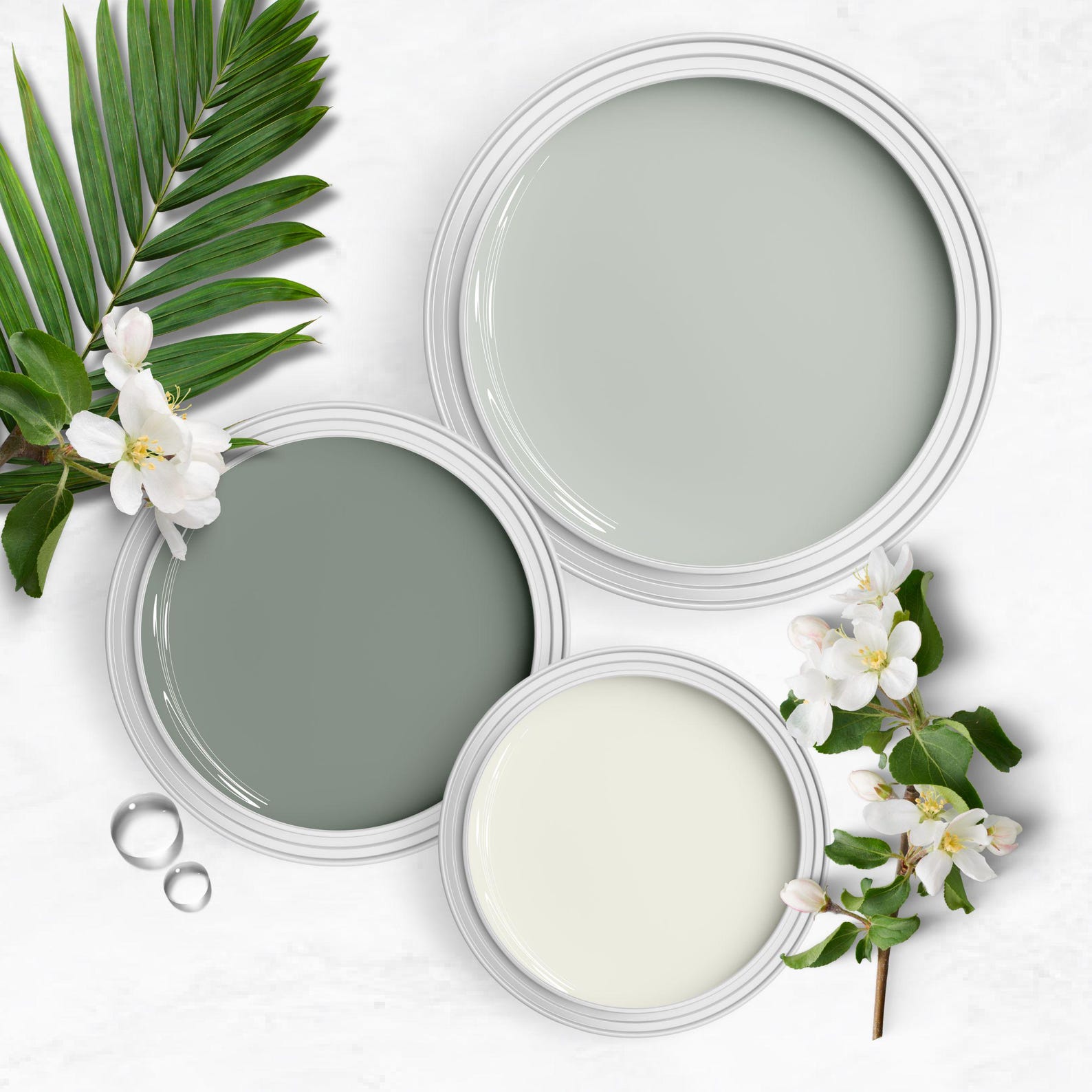 Benjamin Moore Cloud White Color Palette ~ Complementary Color Palette ...