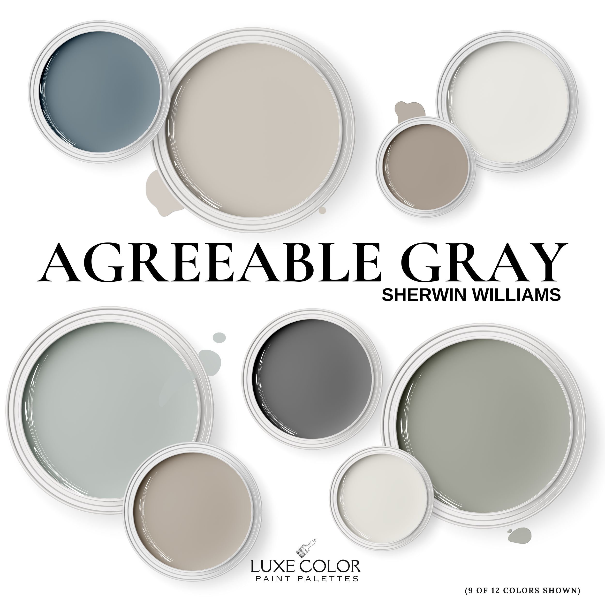 Agreeable gray paint color store