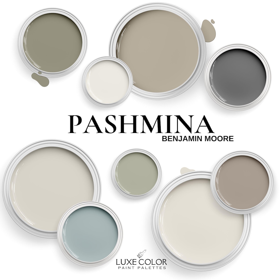 Benjamin Moore Pashmina Color Palette ~ Complementary Color Palette for ...
