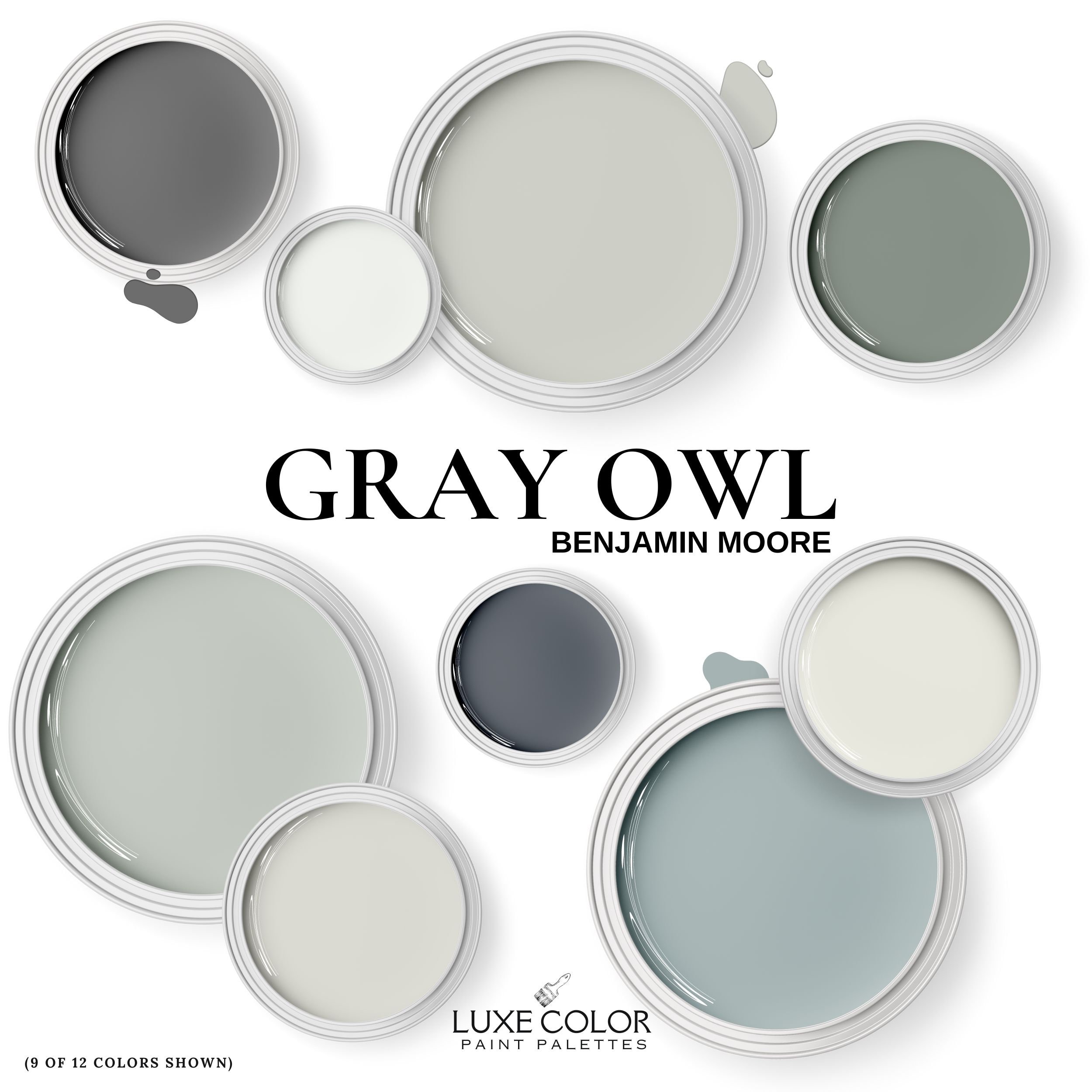 Benjamin Moore Gray Owl Color Palette: Whole House Paint Guide (digital ...