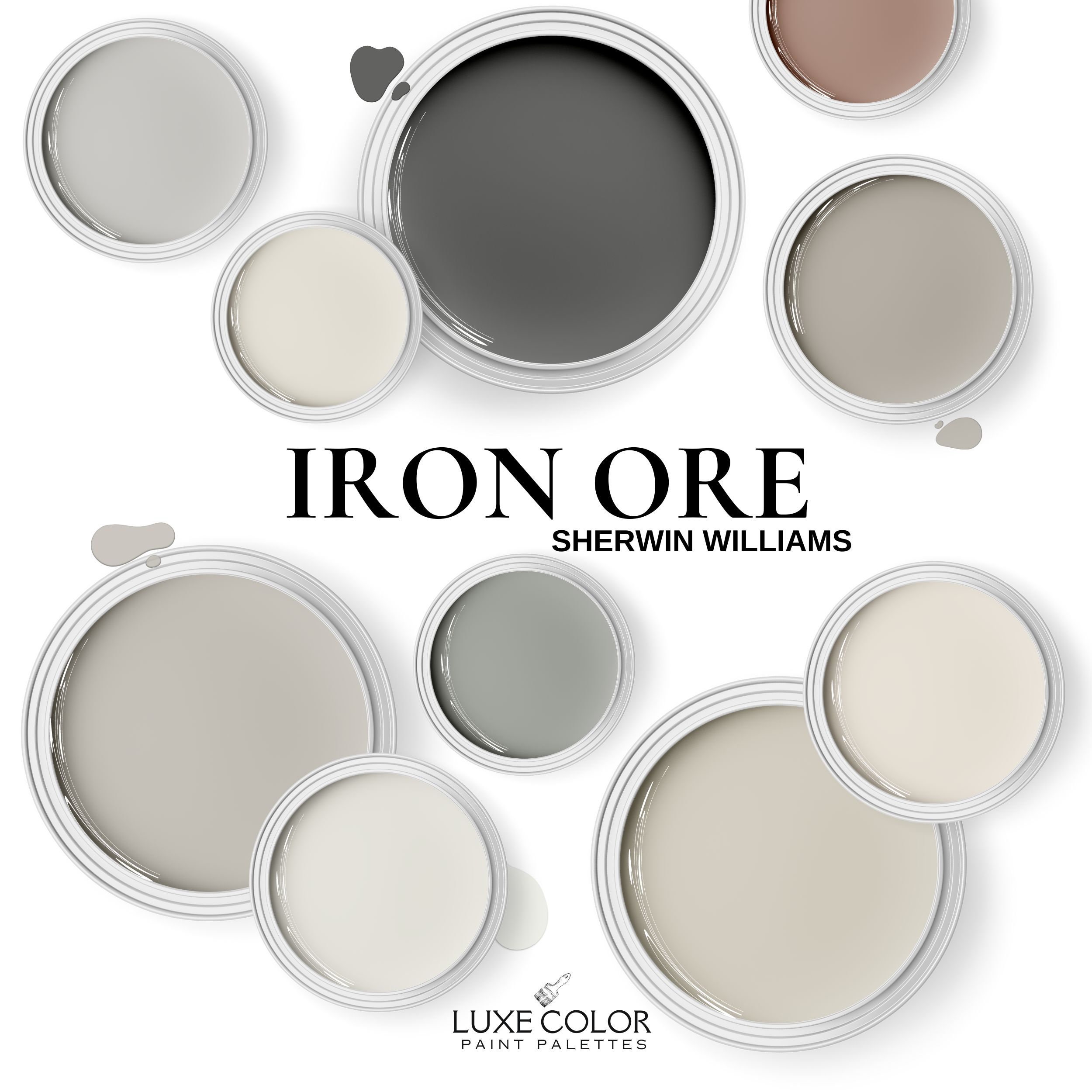 Sherwin Williams Iron Ore With Coordinating Colors for Bedroom, Living ...