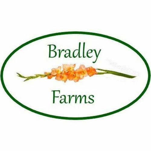 bradleygladiolafarms - Etsy
