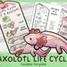Axolotl Life Cycle Foldable Amphibian Life Cycle Learning - Etsy