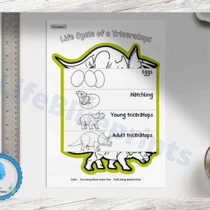 Triceratops Dinosaur Life Cycle Learning Activity for Kids | Montessori ...