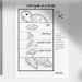 Foldable Turtle Life Cycle Learning Activity for Kids A4 and 11x8.5 ...