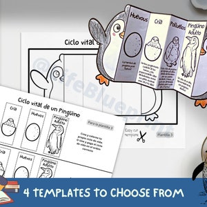 SPANISH Bird Life Cycle Bundle of 6 Templates | Duck, Chicken, Penguin ...