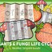 Life Cycle of Plants & Fungi Bundle of 6 Mushroom, Fruits Flowers ...