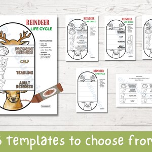 CHRISTMAS Life Cycle Bundle of 4, Foldable Crafts | Christmas Tree ...