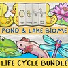 Foldable Duck Life Cycle Learning Activity for Kids A4 and 11x8.5 Inch ...