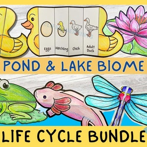 POND BIOME Life Cycle Bundle of 7 Templates | Discounts With Bundle ...