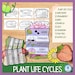 Foldable Life Cycle Bundle of 35 Templates | Discounts With Bundle ...