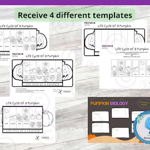 Foldable Pumpkin Life Cycle Learning Activity for Kids Halloween Nature ...