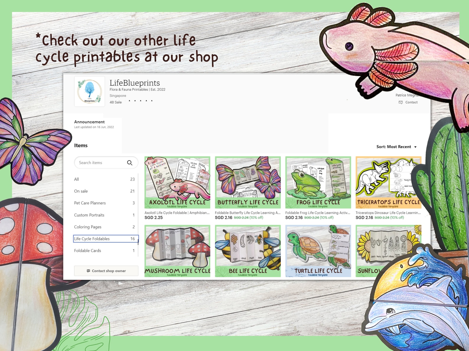 Foldable Penguin Life Cycle Learning Activity for Kids | A4 and 11x8.5 ...