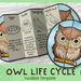 Foldable Owl Life Cycle Learning Activity for Kids | Perfect Halloween ...