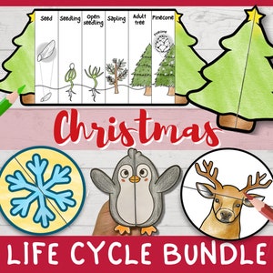 CHRISTMAS Life Cycle Bundle of 4, Foldable Crafts | Christmas Tree ...