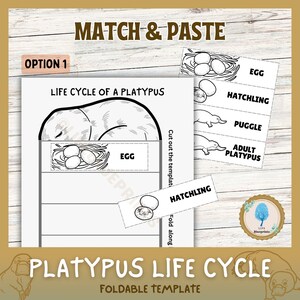 Platypus Life Cycle Science Activity for Kids | Foldable Craft ...