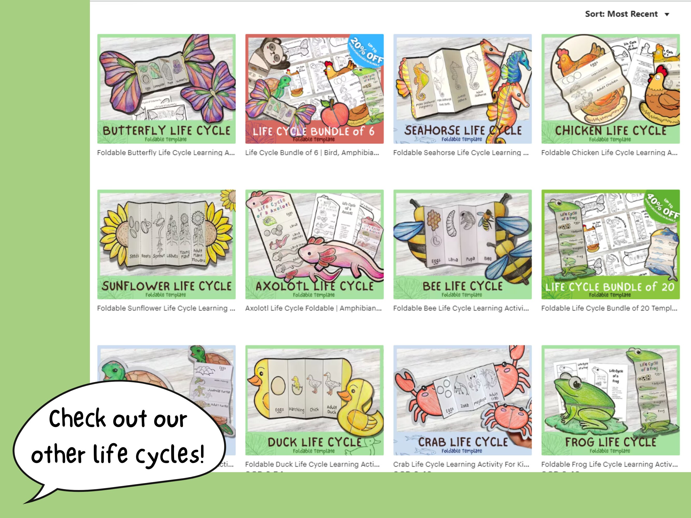 Crab Life Cycle Learning Activity for Kids A4 and 11x8.5 Inch Digital ...