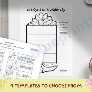 Foldable Water Lily Life Cycle Learning Activity for Kids | Plant Study ...