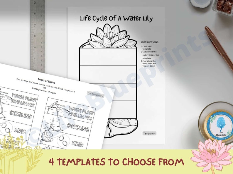 Foldable Water Lily Life Cycle Learning Activity for Kids | Plant Study ...