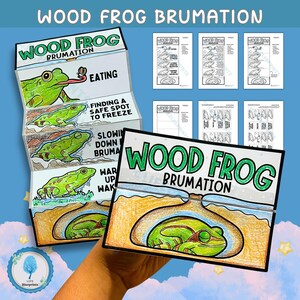 Hibernation & Brumation Craft Bundle – Fun, Interactive Winter Science ...