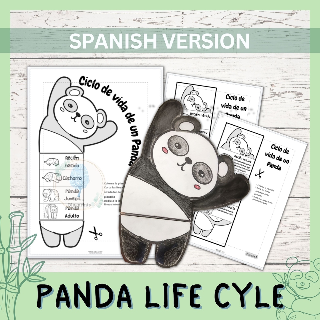 SPANISH Panda Life Cycle Learning Activity for Kids | Foldable Science ...