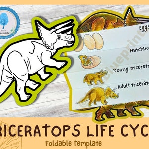 Triceratops Dinosaur Life Cycle Learning Activity for Kids | Montessori ...