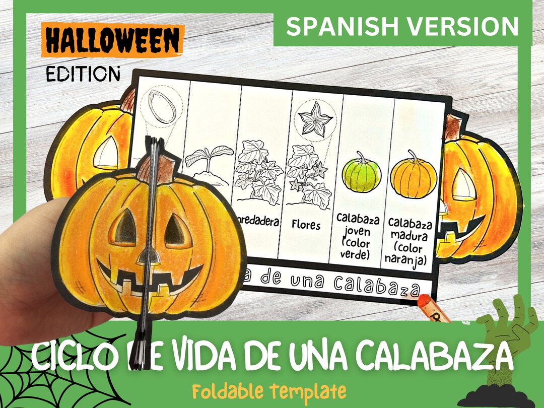 SPANISH Life Cycle of a Pumpkin Plant Foldable Life Cycle - Etsy
