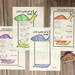 Foldable Snail Life Cycle Learning Activity for Kids A4 and 11x8.5 Inch ...