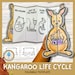 Kangaroo Life Cycle Activity for Kids | Foldable Craft | Australian ...