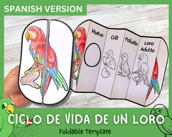 Foldable Butterfly Life Cycle Learning Activity for Kids A4 - Etsy Canada