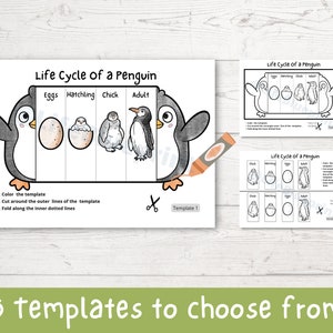 CHRISTMAS Life Cycle Bundle of 4, Foldable Crafts | Christmas Tree ...