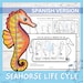 SPANISH Seahorse Life Cycle Learning Activity for Kids Marine Life Unit ...