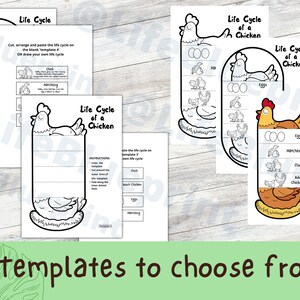 Life Cycle Bundle of 6 | Bird, Amphibian, Mammal, Insect, Plant, Marine ...