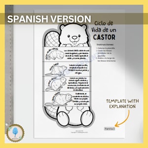 SPANISH Foldable Beaver Life Cycle Learning Activity for Kids | Digital ...