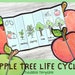 Foldable Apple Life Cycle Learning Activity for Kids A4 and - Etsy ...