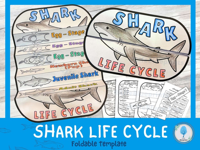 Life Cycle of a Shark Science Activity for Kids | Foldable Craft ...