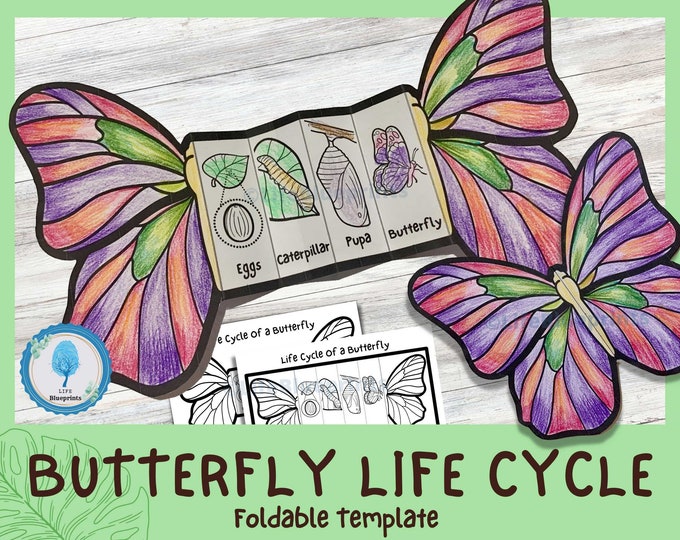 Life Cycle of a Monarch Butterfly, Butterfly Life Cycle, Montessori ...