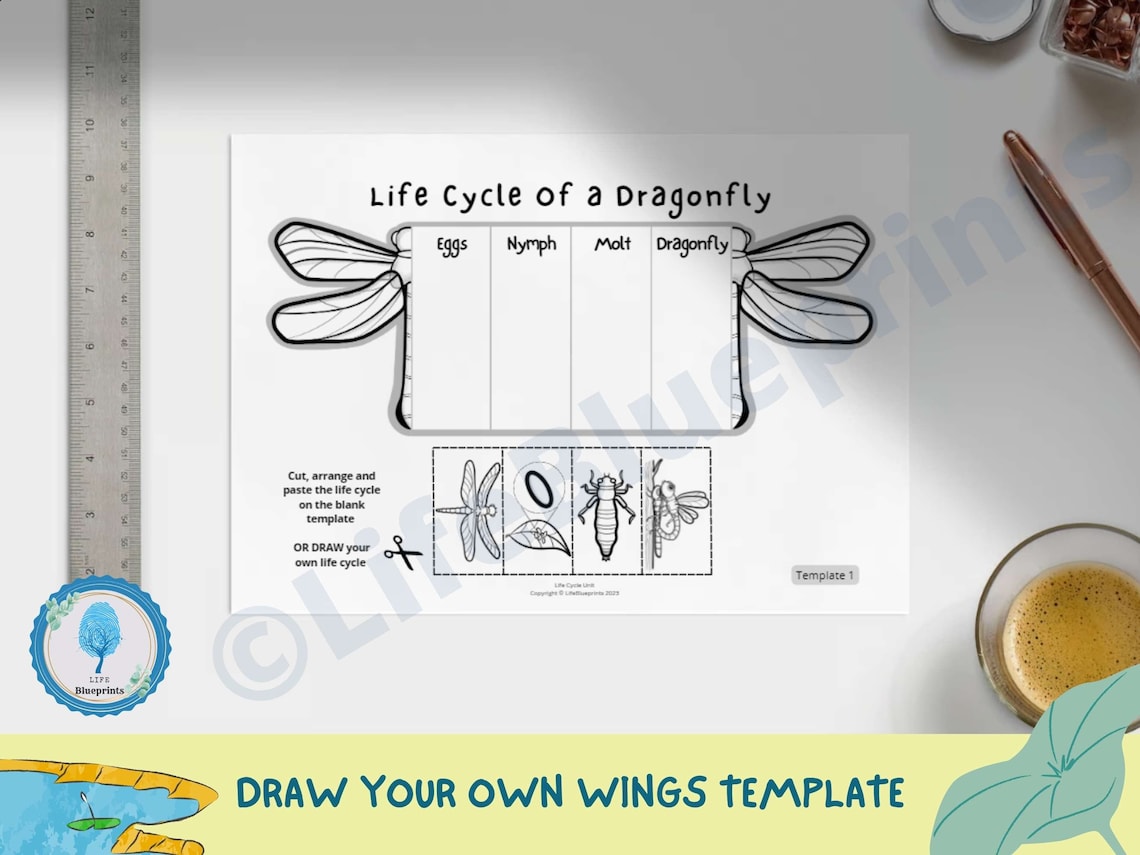 Foldable Dragonfly Life Cycle Learning Activity for Kids | A4 and 11x8 ...