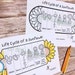 Foldable Sunflower Life Cycle Learning Activity for Kids | A4 and 11x8 ...