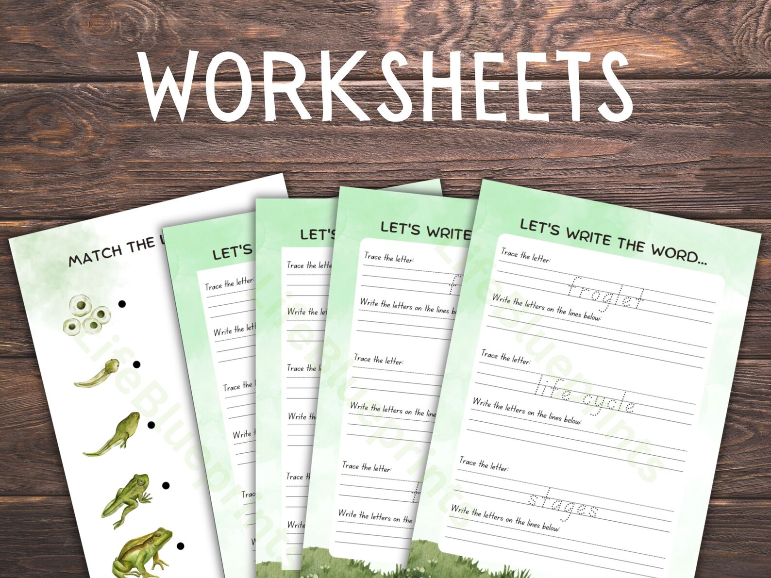 Frog Life Cycle Poster, Flashcards, Lesson Slides Nature Study, Science ...