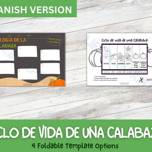 SPANISH Life Cycle of a Pumpkin Plant | Foldable Life Cycle Craft ...