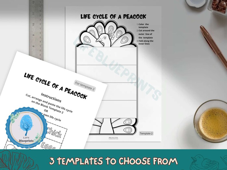 Foldable Peacock Life Cycle Learning Activity for Kids | Bird Unit ...