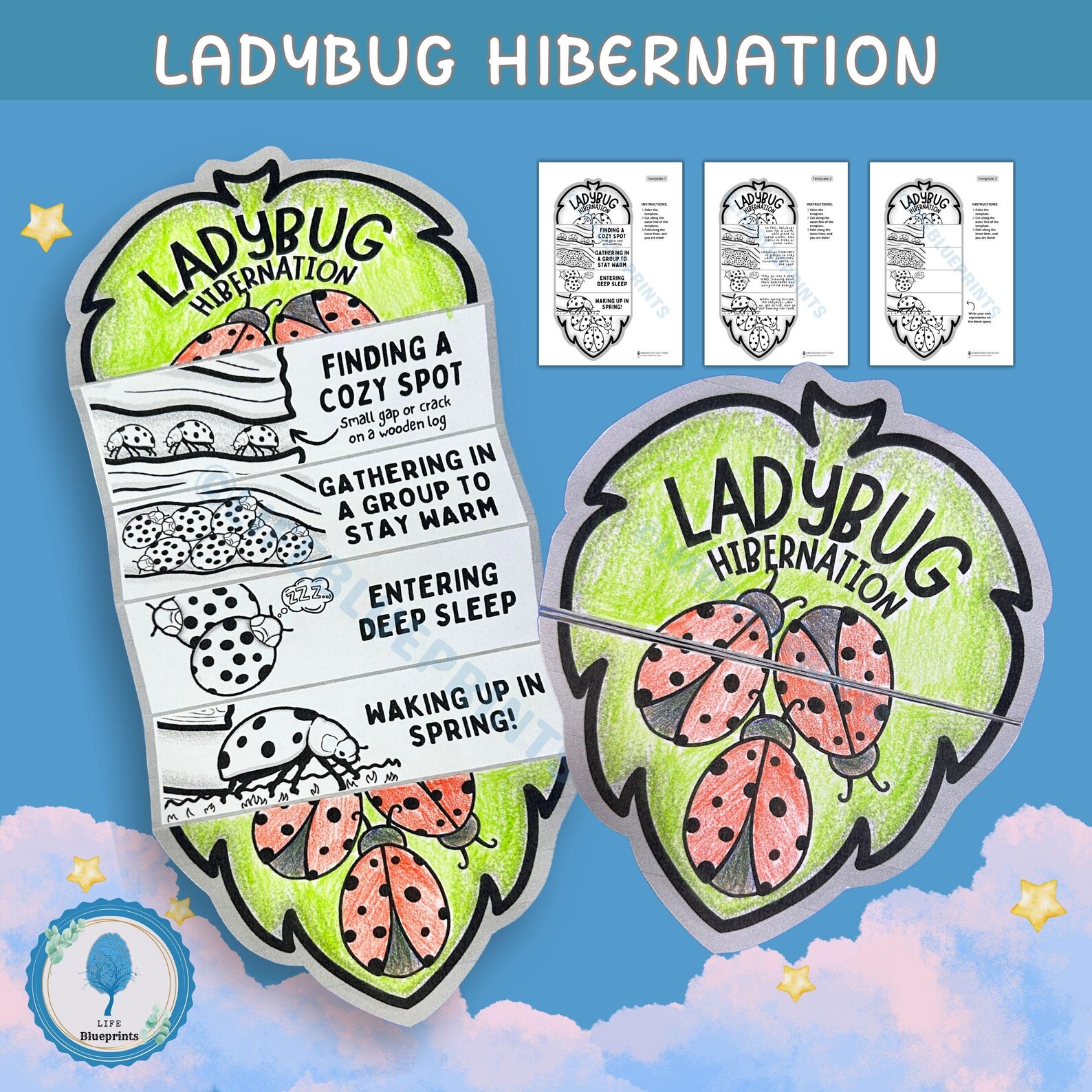 Hibernation & Brumation Craft Bundle – Fun, Interactive Winter Science ...